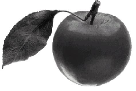 Backgrounds Pixelmode Generating A Scanner Bitmap