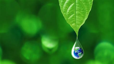 Eco Friendly Options COSSMA