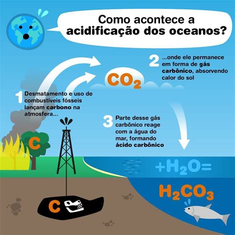 Biboca Ambiental Vamos Entender O Que SÃo MudanÇas ClimÁticas