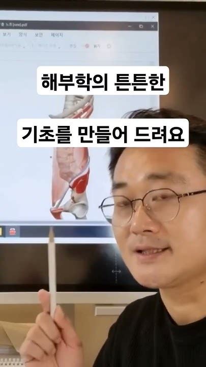 운동에 진심인 분들을 위한 해부학 무료 강의 재활 필라테스 해부학 해부학 공부법 초보탈출 해부학 Youtube