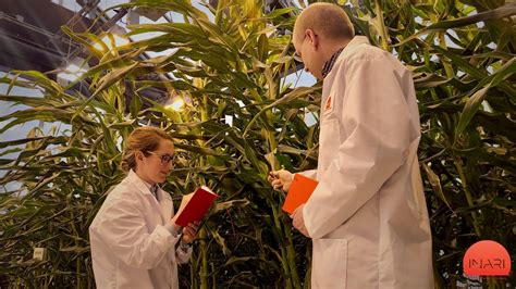 Inari Reaps 89m And Eyes Global Farm Markets For Gene Edited Seeds