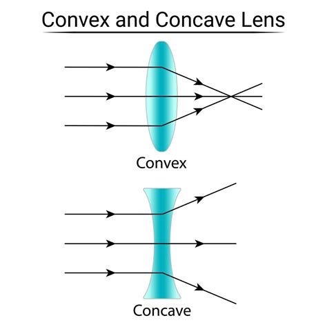 Convex And Concave Lens Refraction Of Light 25747566 Vector Art At Vecteezy