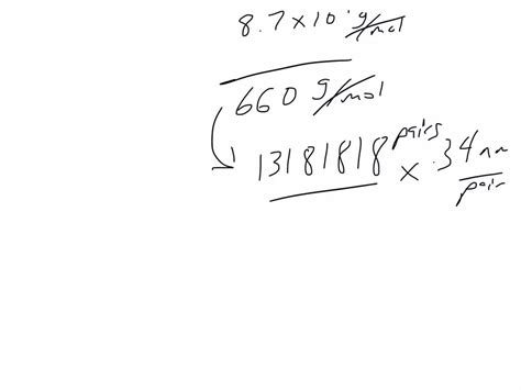 SOLVED The Genetic Information Contained In DNA Consists Of A Linear Sequence Of Coding Units