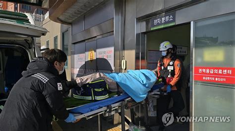6th Ld 94 Dead 2 Rescued In Passenger Plane Crash In Muan Other