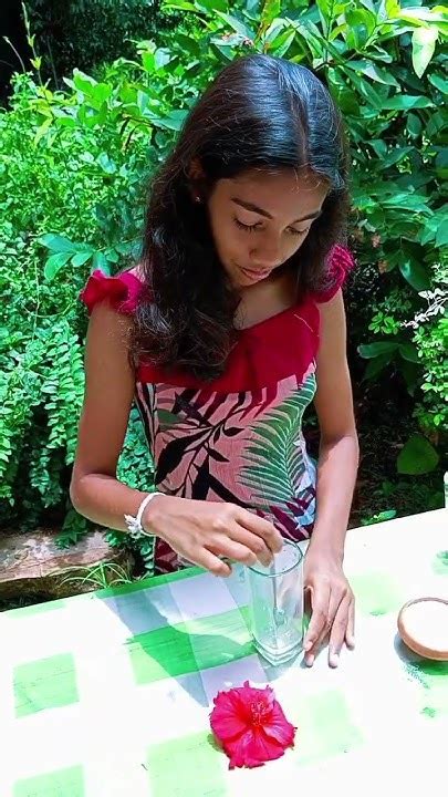 වද මල් වලින් රසම රස බීමක් හදමුද 🥰hibiscus Flower Drink 🏵️🍹 Hibiscus