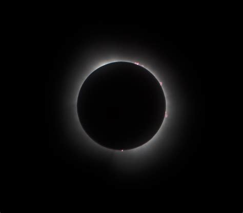 Totality An Eclipse Reflection Michael Kafarowski