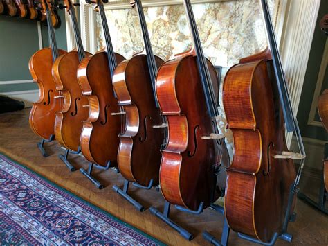 Different Types Of Cello Strings At Jessica Goza Blog