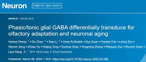 Neuron 浙江大学康利军团队揭示胶质细胞调控神经元适应性和衰老退变的神经机制 生物科技 健康一线资讯