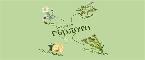 Домашни средства при болки в гърлото Алин