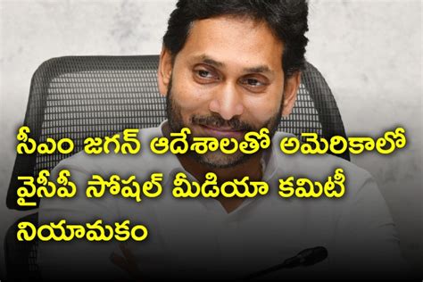 సీఎం జగన్ ఆదేశాలతో అమెరికాలో వైసీపీ సోషల్ మీడియా కమిటీ నియామకం