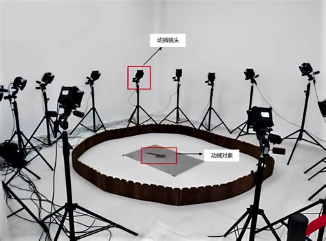 Bionic Crawling Robots Siamese Crocodile Inspired Gait Planning Nokov