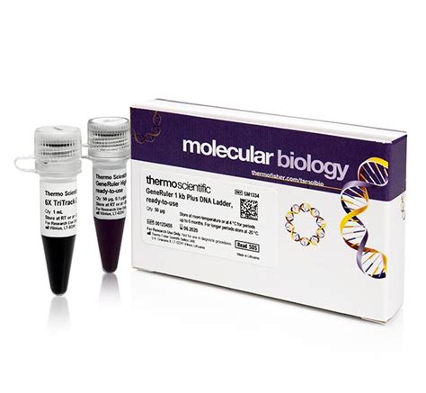 Thermo Scientific GeneRuler 1 Kb Plus DNA Leiter Gebrauchsfertig