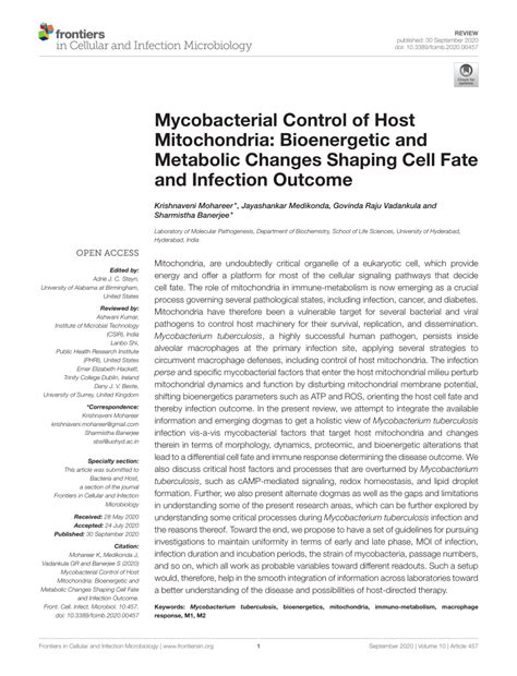 PDF Mycobacterial Control Of Host Mitochondria Bioenergetic And