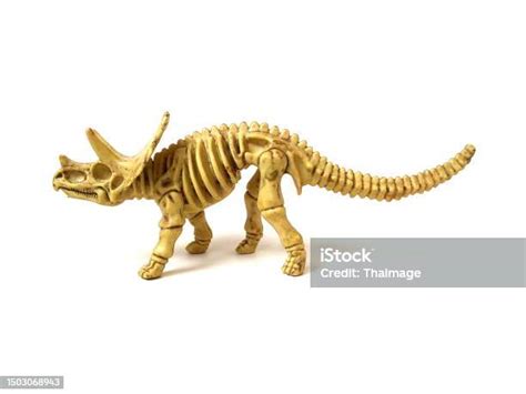 흰색 배경에 분리된 트리케라톱스 어린이 장난감을 닫습니다 0명에 대한 스톡 사진 및 기타 이미지 0명 개념 고대의 Istock