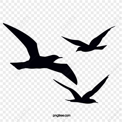 벡터 항행 갈매기 일러스트항해 Png 일러스트 무료 다운로드 Lovepik