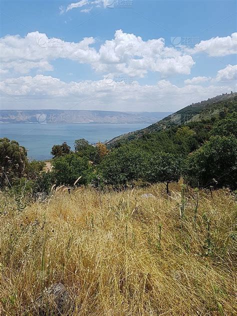 加利利海和戈兰高地的神奇风景，在夏天，北以色列
