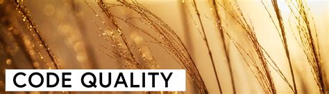 7 Tipps Mit Denen Du Deine Codequalität Verbesserst Mayflower Blog