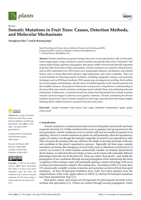 Pdf Somatic Mutations In Fruit Trees Causes Detection Methods And