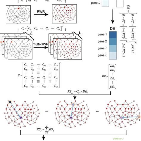 Ctpathway Algorithm Diagram Including Multi Rwr First Gene 1 In The