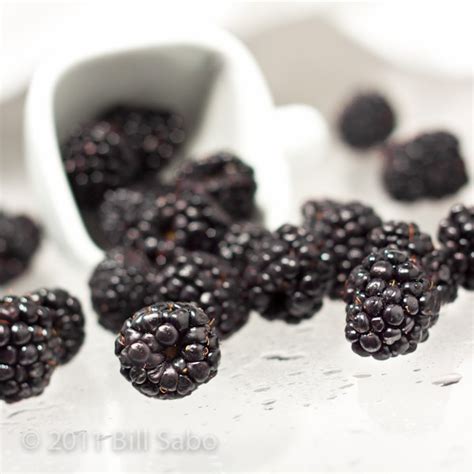 Organic Black Raspberry Extract Without Diacetyl Newport Flavours