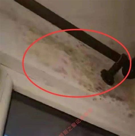 【城事】朝阳这小区的一幕，发霉了都奖励