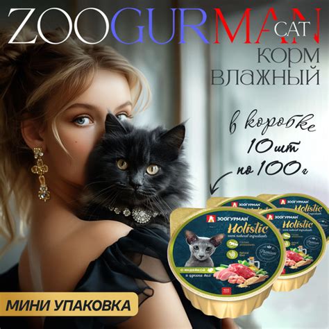 Корм влажный для кошек Holistic Зоогурман С индейкой и цукини MIX, 100 ...