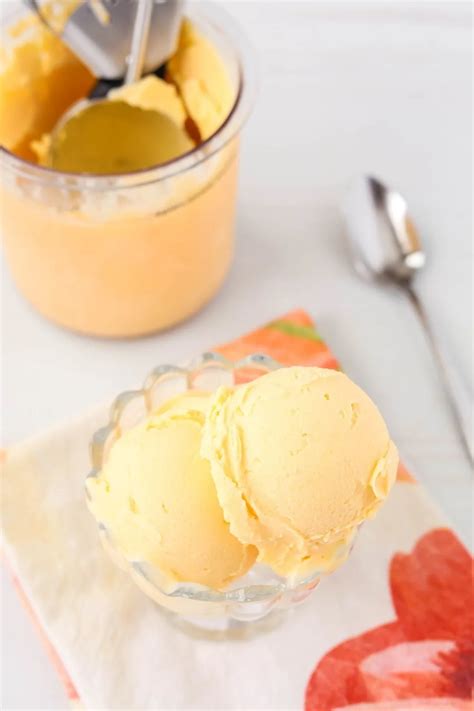 Ninja Creami Peach Frozen Yogurt I Dream Of Ice Cream