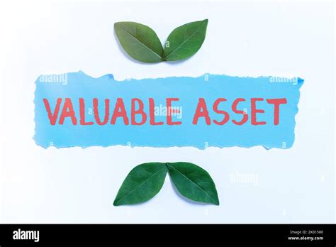 Sign Displaying Valuable AssetYour Most Valuable Asset Is Your Ability