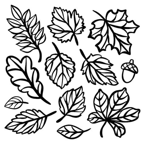 Colección Monochrome Hojas De Linea De Otoño Vector Premium