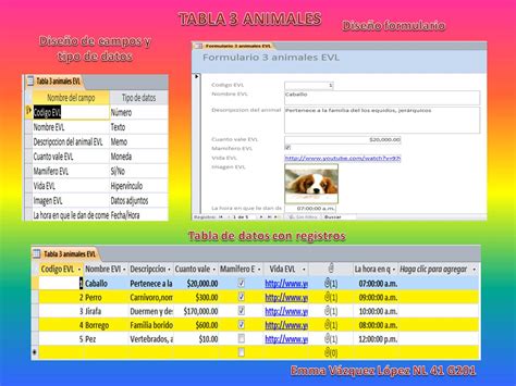 informática y computación IV Emma Vazquez Lopez Tabla de access