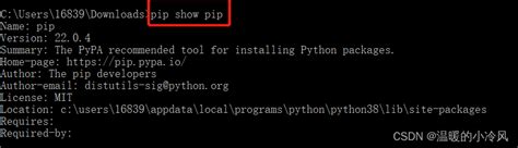 Python中的 Pip 和 Requirementstxt 是干什么的pip Requirement Csdn博客