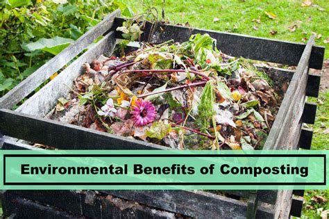Environmental Benefits Of Composting For Indoor Plants Plants Spark Joy