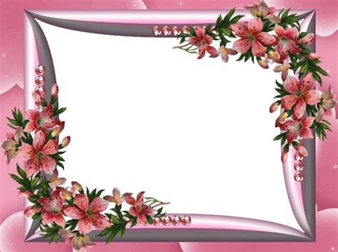 Fotos Flores Png Gratis Para Descargar Marcos Lieux De Drague Dijon