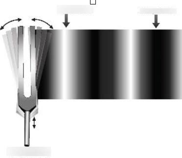Nature Of Waves Diagram Diagram Quizlet