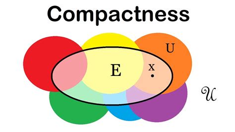 15 Facts About Sycamore Trees