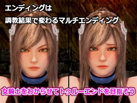 監禁女騎士～異世界転生したらオークに間違われた男～ Rj01100162 監獄サテライトの傾向 ダウンロード同人作品の傾向とか