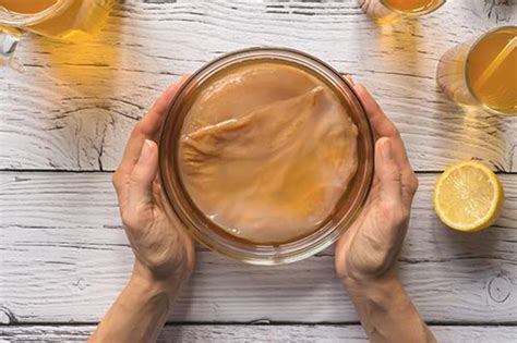 Fermented Non Alcoholic Drinks You Can Brew At Home Alcofree Brew