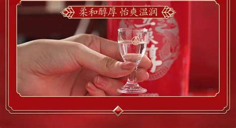 义顺年货节 红装五粮醇 搜狐大视野 搜狐新闻