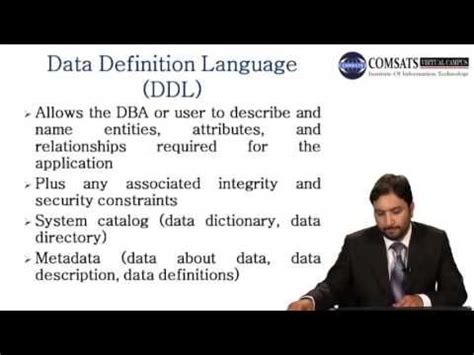 DDL DML Database Lecture In Hindi Urdu Database Architecture Database