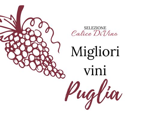 I Migliori Vini Della Puglia I Vini DOC I Vini DOCG E I Vini IGT