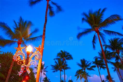 Miami Beach South Beach Sunset Palm Trees Florida Stock Image Image