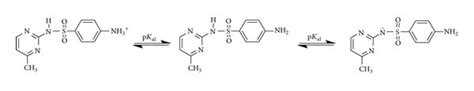 The Protonation And Deprotonation Of Sulfonamides A Sulfadiazine