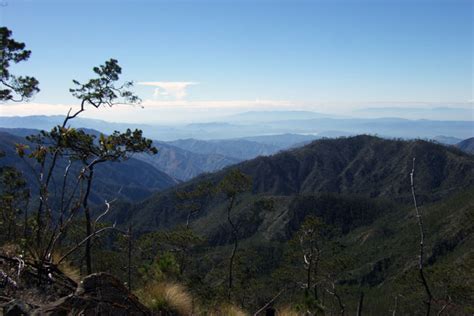 Pico Duarte Image Gallery [david Quixfox]