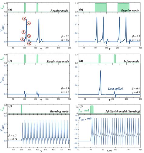 Simulations Of The Superconducting Bio Inspired Neuron Dynamics In The Download Scientific