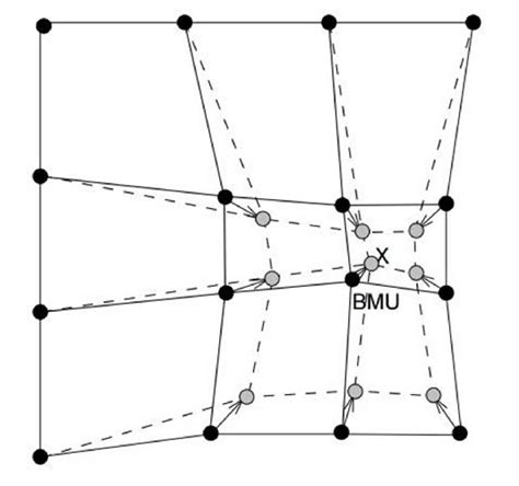 The Solid And Dashed Lines Correspond To Situation Before And After Download Scientific Diagram