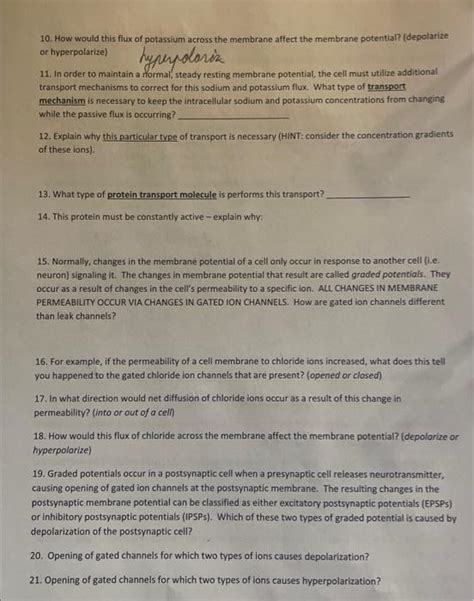Solved Membrane Potentials Resting And Graded Potentials 1