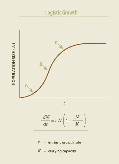 Solved 1 Examine The Logistic Growth Equation On The Rig Chegg