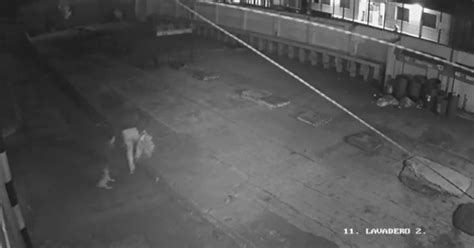 Condenan A 22 Años De Prisión A Un Hombre Por Matar Un Perro En El