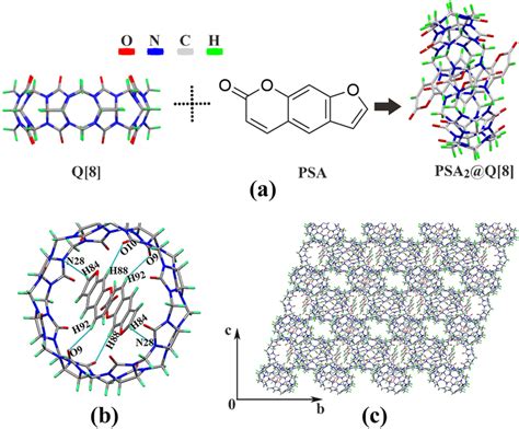 A The Crystal Structure Of The Interaction Between Psa And Q[8] B The