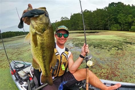 Best Baits And Lures For Bass Fishing Swimbaits Kayak Angler